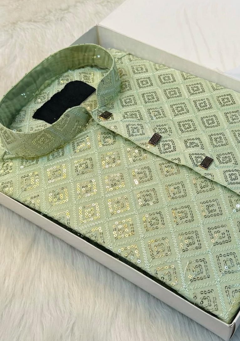 Embroidered Cotton Sequence Punjabi - db29280